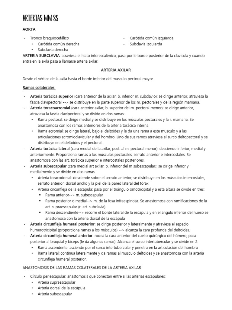 Arterias Mmss | PDF | Mano | Codo
