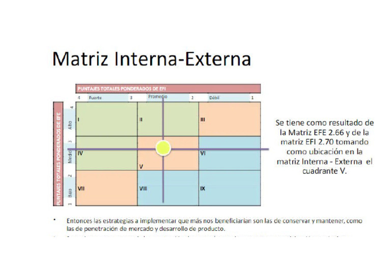 Imagen Matriz IE | PDF