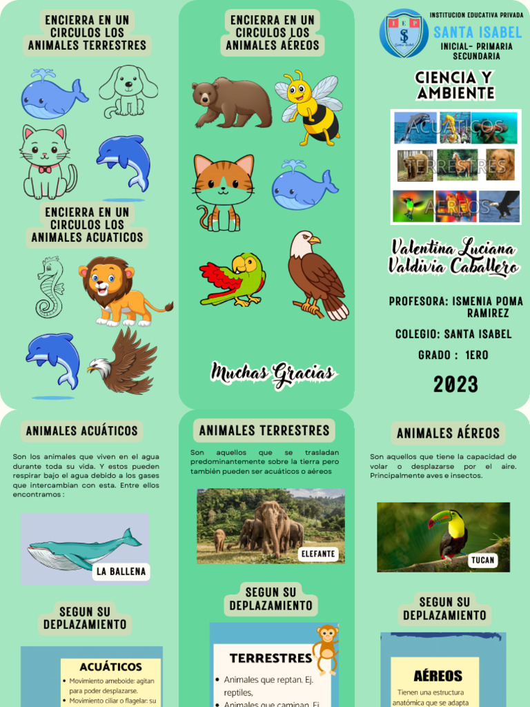 Folleto Tríptico Proyecto Creativo para Niños Ilustrado Doodle ...