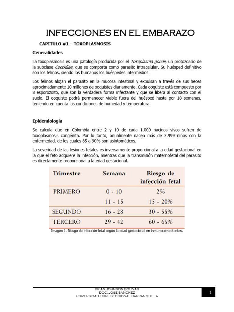 Infecciones en El Embarazo | PDF | VIH | VIH / SIDA