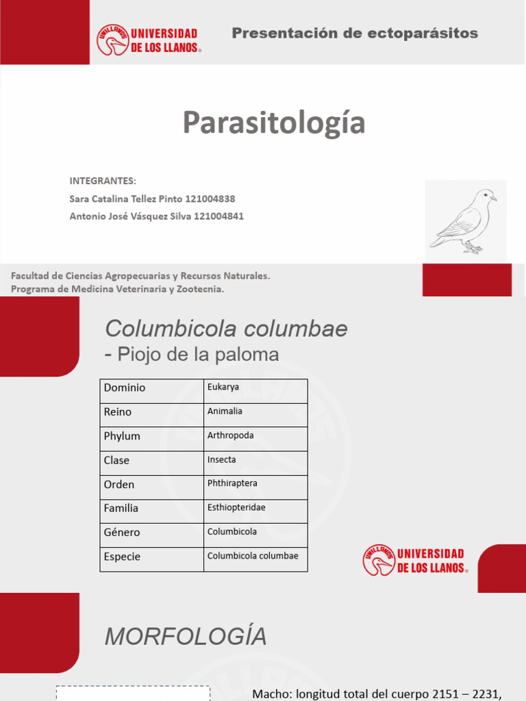 Columbicola Columbae | PDF | Parasitismo