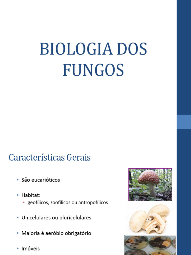 Aula 2. Biologia Dos Fungos | PDF | Fungo | Célula (Biologia)