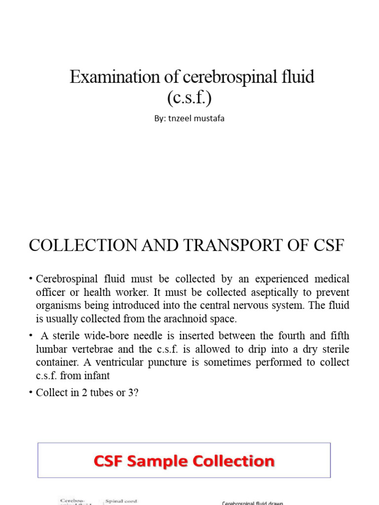 Examination of Cerebrospinal Fluid (C | PDF | Cerebrospinal Fluid ...