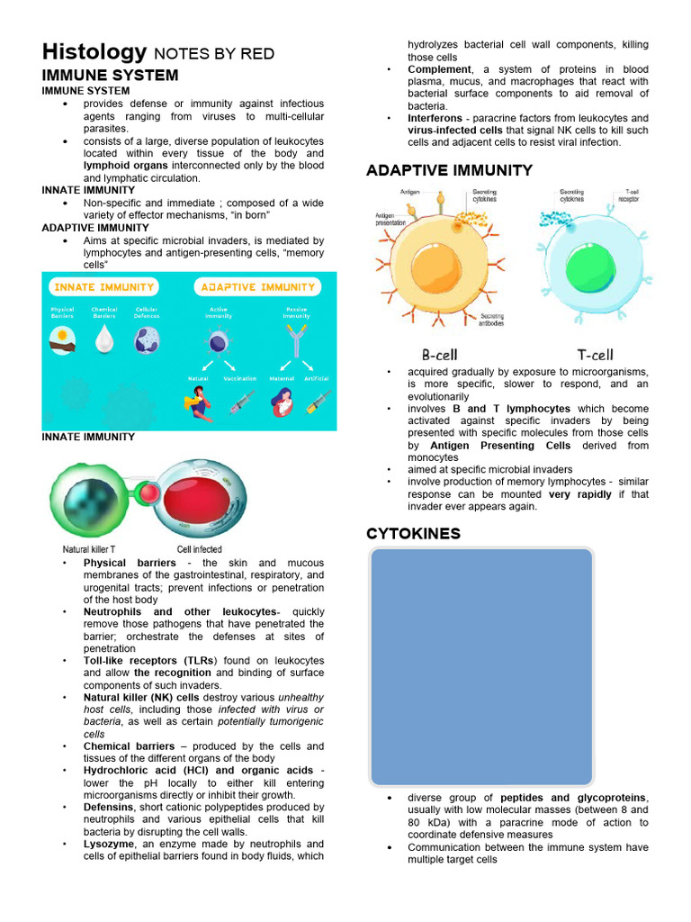 HISTOLOGY-NOTES-by-Red Immune | PDF | Immune System | Lymphocyte