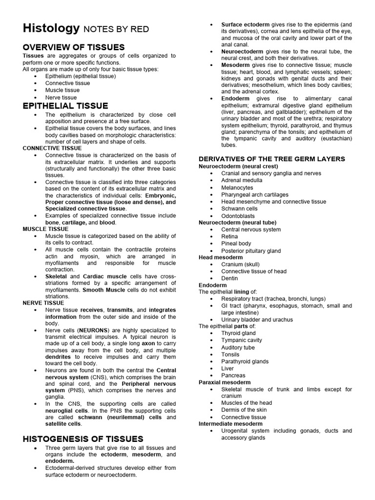 Histology Notes by Red | PDF | Bone | Epithelium