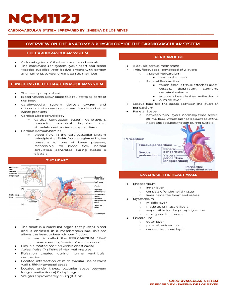 Cardio | Download Free PDF | Heart | Atrium (Heart)