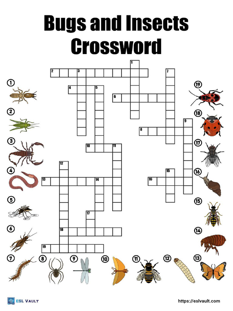 Bugs and Insects Crossword | PDF