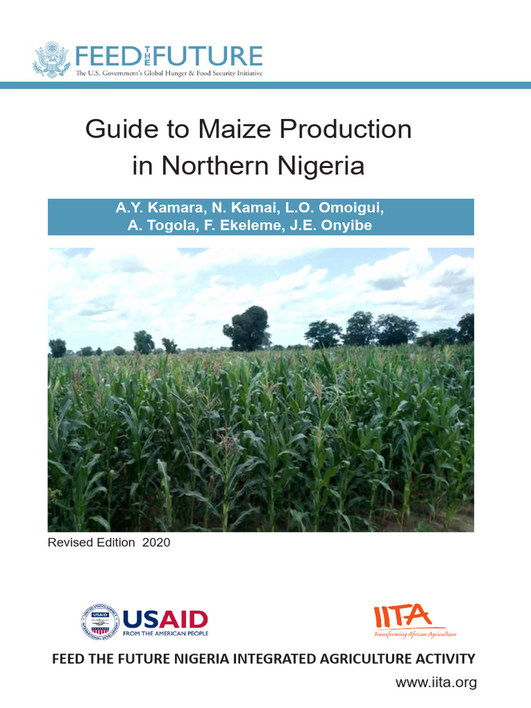 Maize Farming Guide for Nigeria | PDF | Maize | Fertilizer
