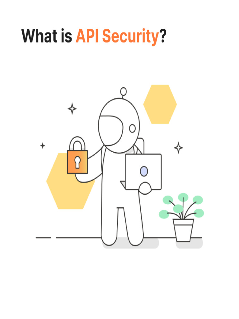 What Is API Security | PDF