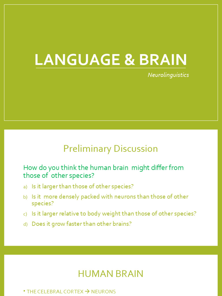 Language & Brain-Neurolinguistics | PDF | Lateralization Of Brain ...