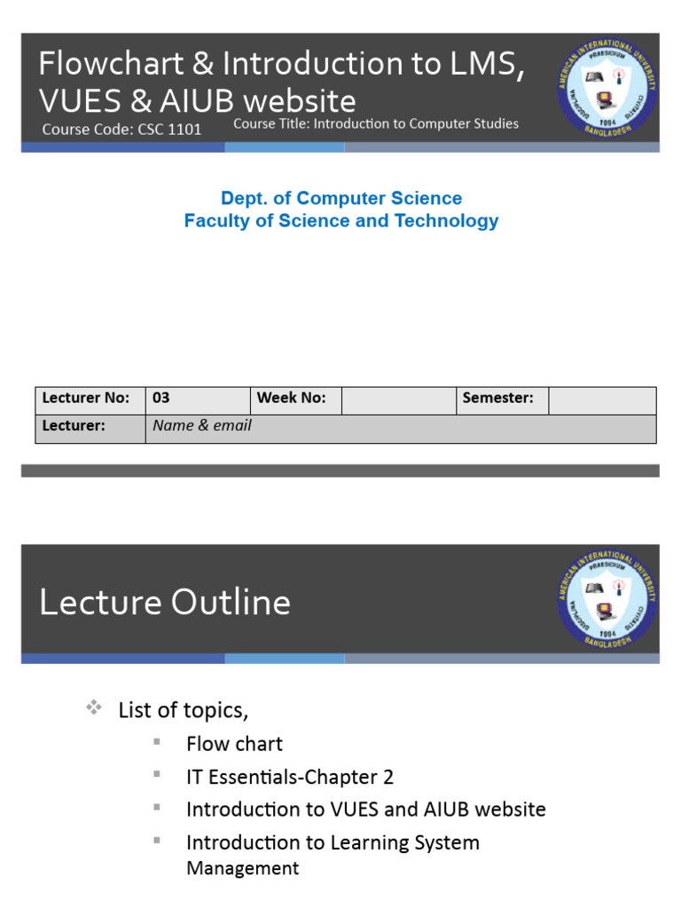 ICS LectureSlides Week 03 FlowChart | PDF | Websites | Software