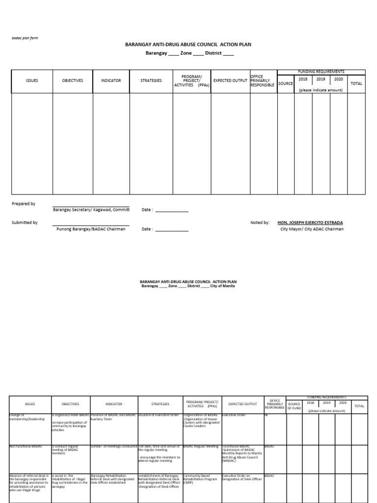 BADAC Action Plan Template NEW | PDF