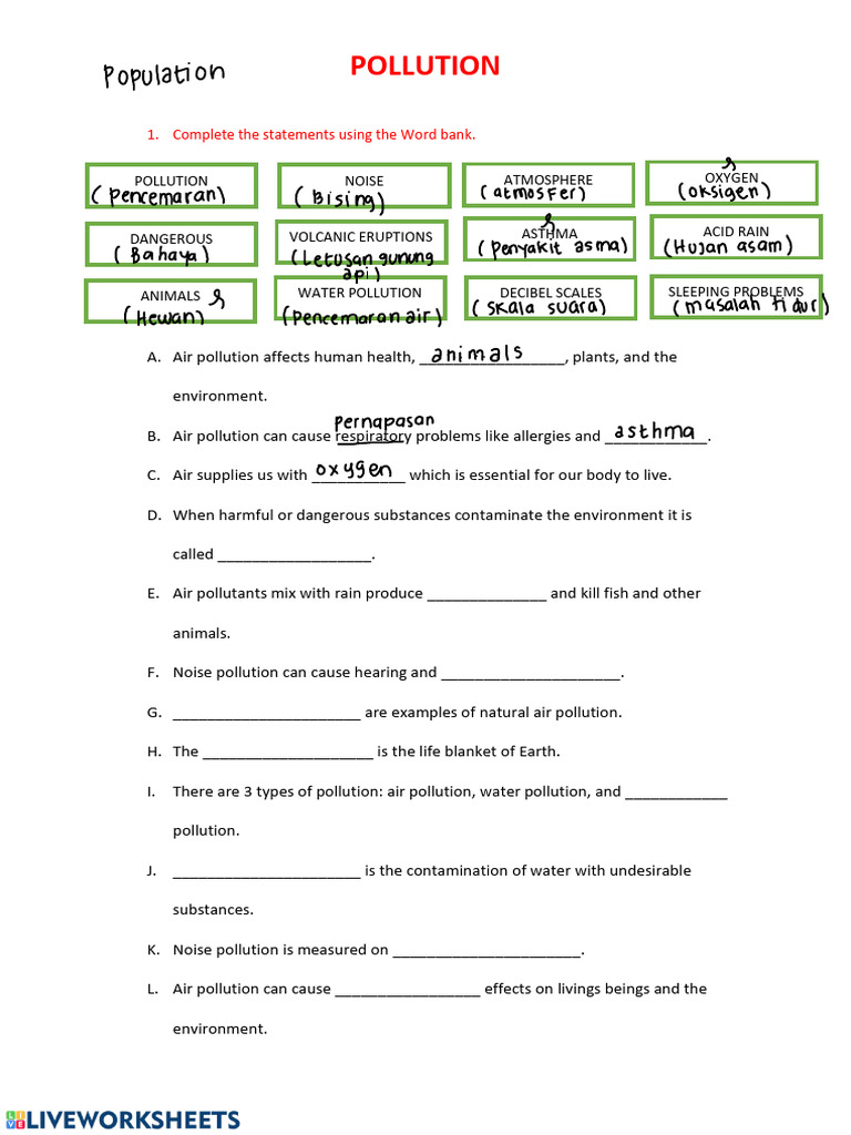 Worksheet Pollution | PDF