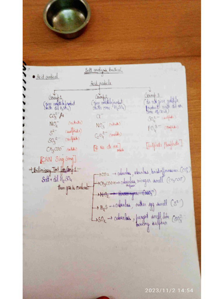 Salt Analysis Class 12 Analysis Practical | PDF