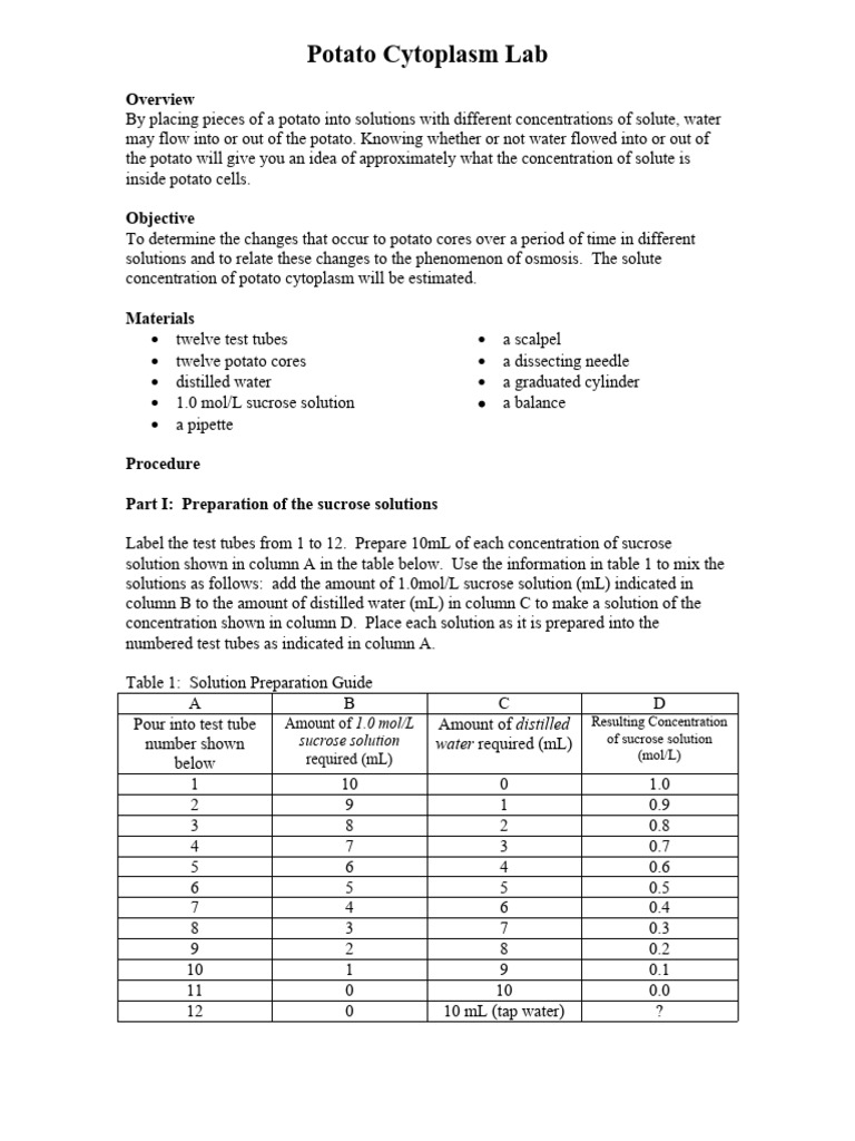 Potato Cytoplasm Lab Pdf Osmosis Physical Sciences
