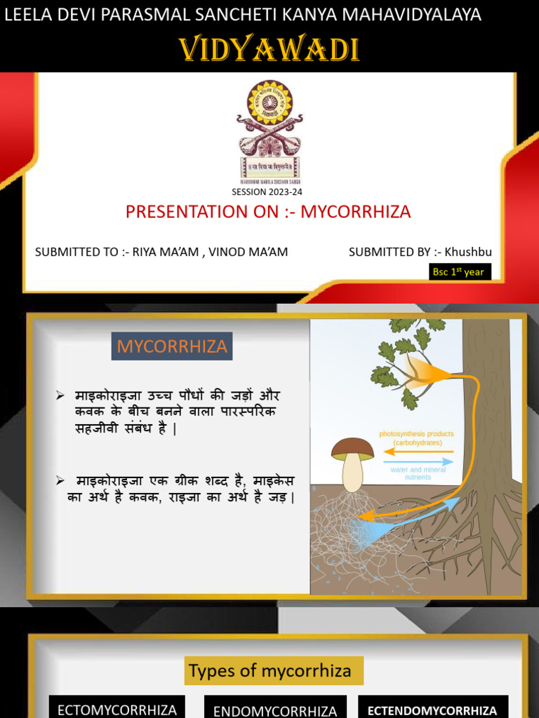 khushbu bsc 1st year botany | PDF