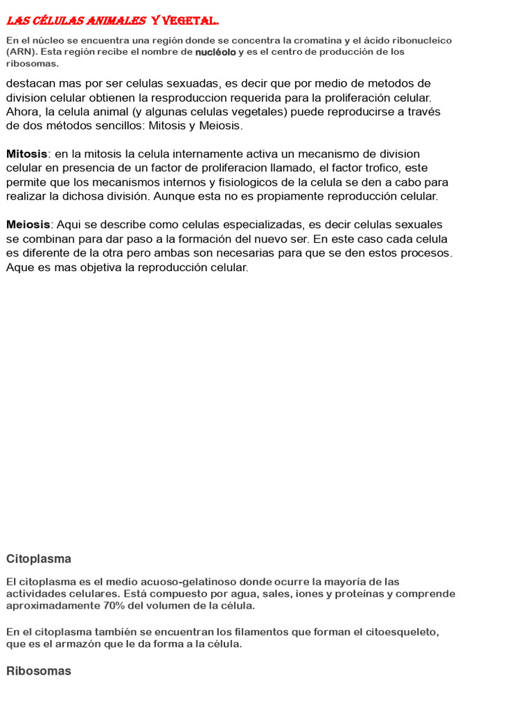 Las Células Animales y Vegetal | PDF | Plantas | Biología Celular)