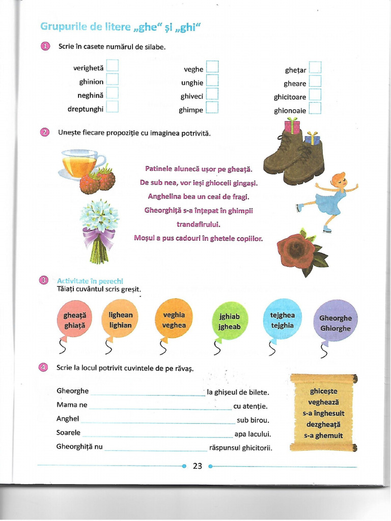 CLR Fise de Lucru | PDF