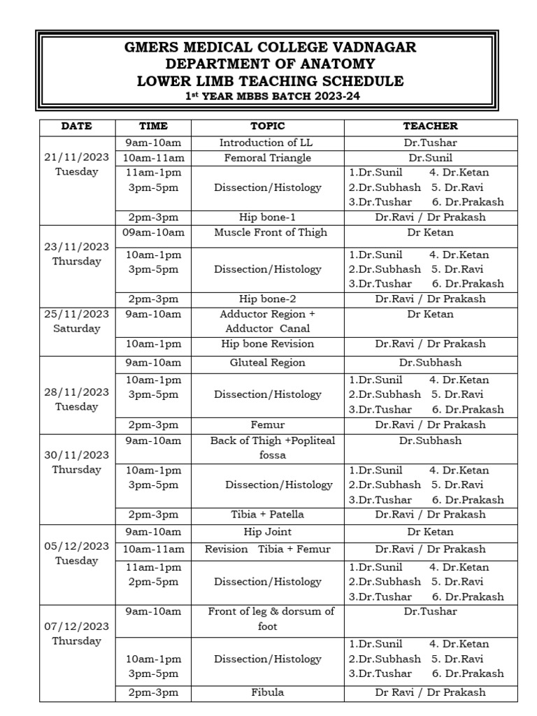 3.lower Limb Time Table | PDF | Hip | Human Leg