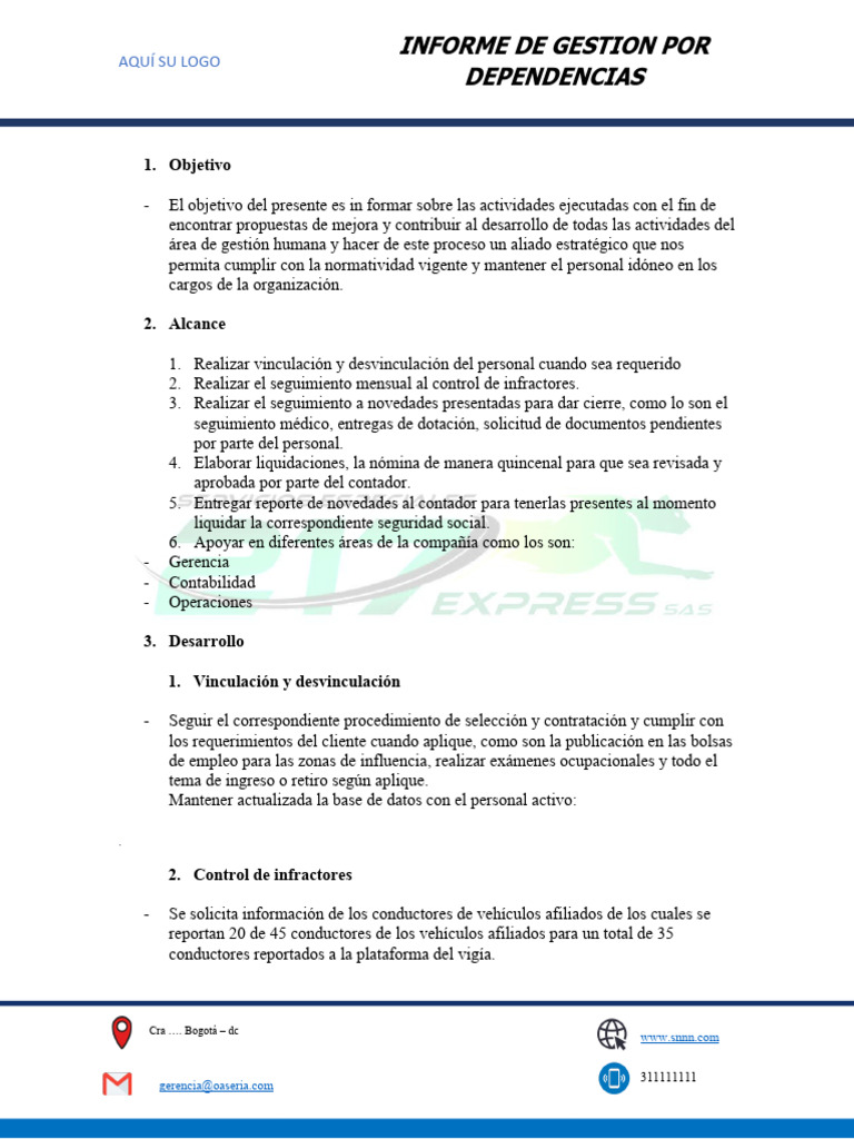 Formato de Informe | PDF | Contabilidad