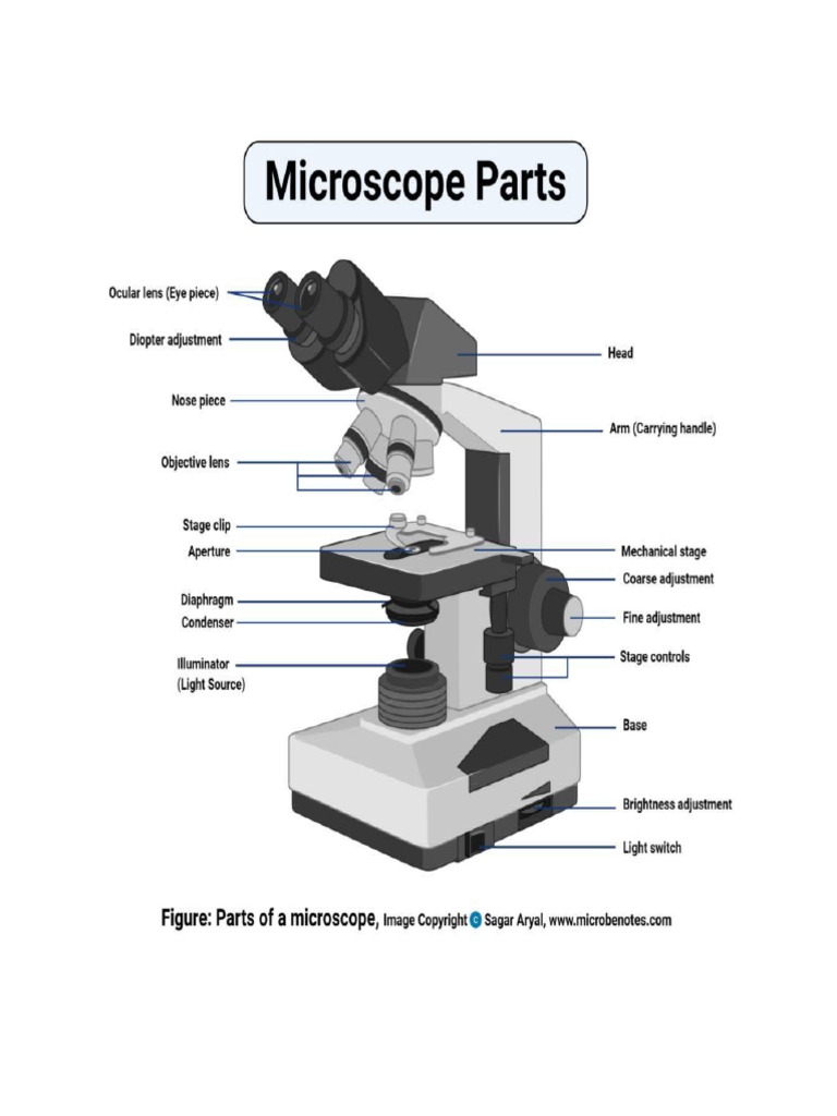 Parts of Microscope | PDF