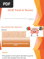 Aice Travel Tourism Portfolio - Mar 3700 | PDF | Risk | Allergy