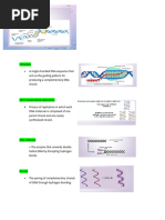 Hyperchromic Effect | PDF | Nucleic Acid Thermodynamics | Genetics