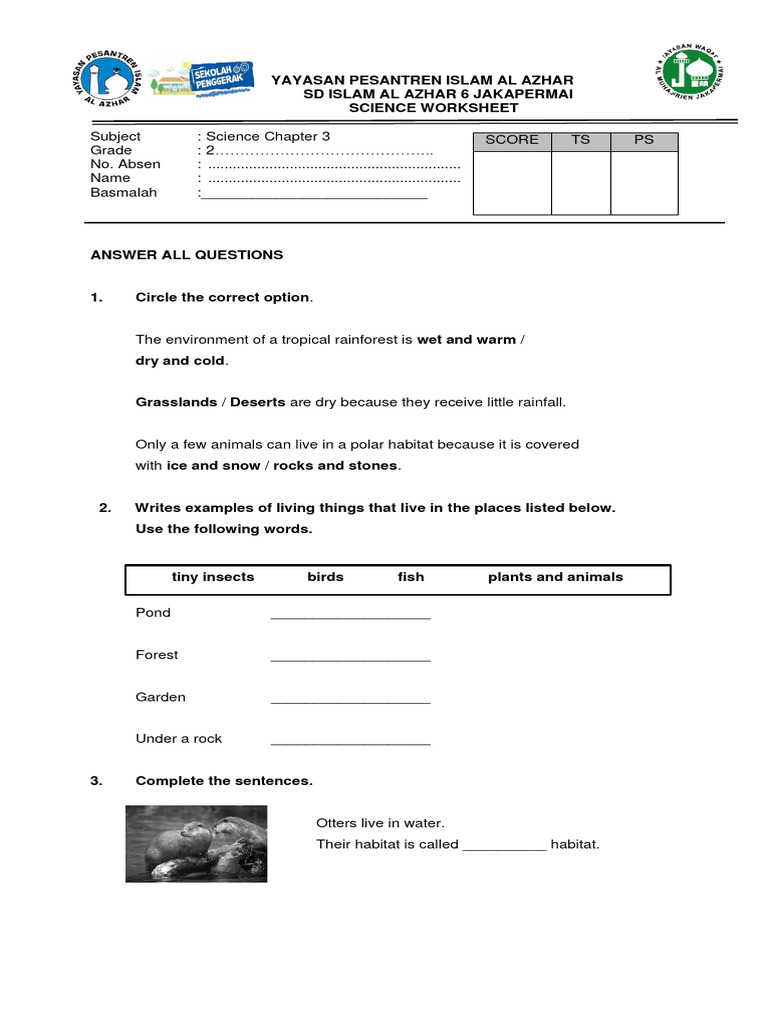 Worksheet Grade 2 Chapter 3 - 1 | PDF