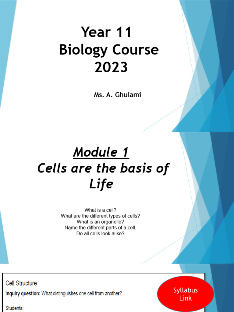 Year 11 Biology: Cell Structure & Function | PDF | Cellular Respiration ...