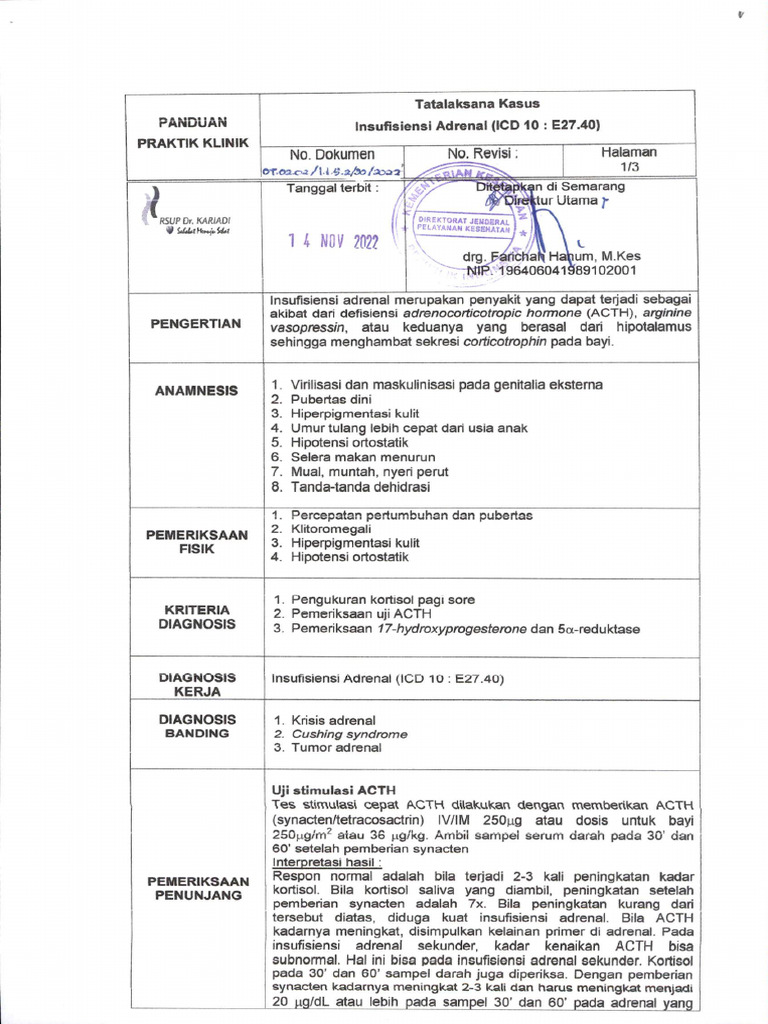 2022-12-20-09-12-32 - SOP Tatalaksana Kasus Insufisiensi Adrenal (ICD 10n E27.40) | PDF