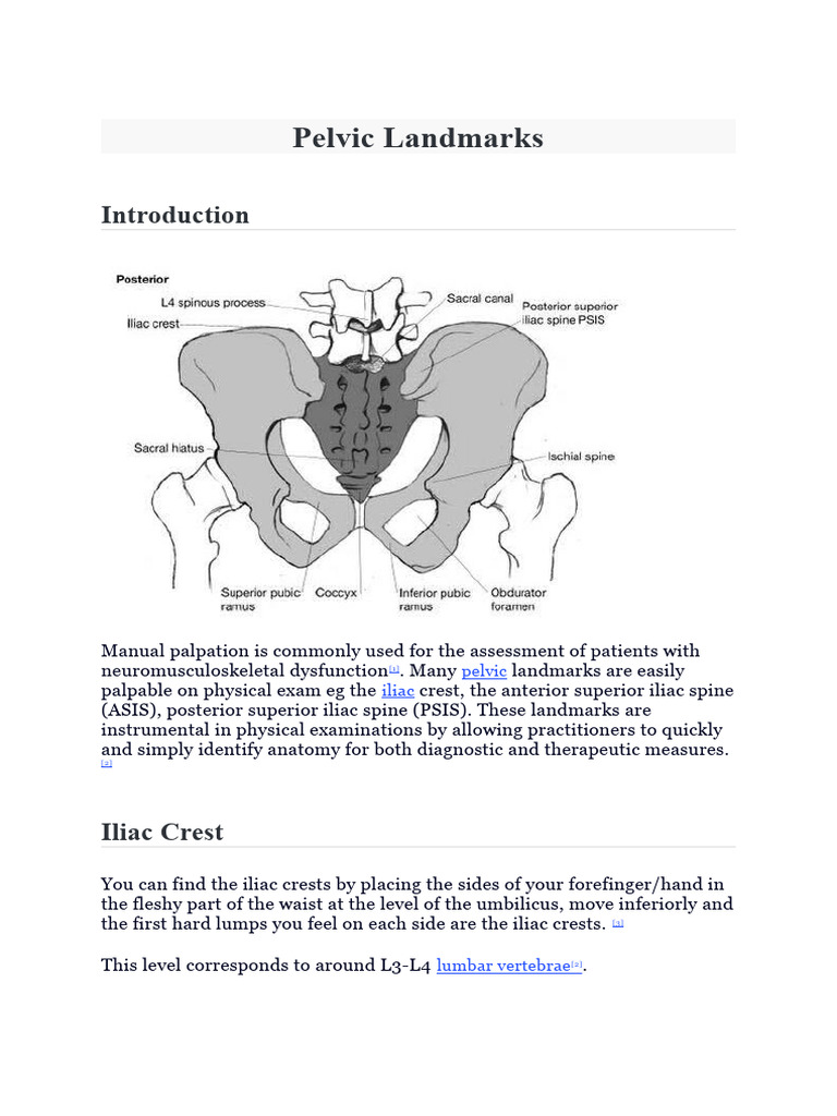 pelvic landmarks 112 | PDF | Pelvis | Human Anatomy