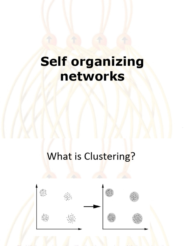 Self Organizing Networks | PDF | Artificial Neural Network | Systems Theory