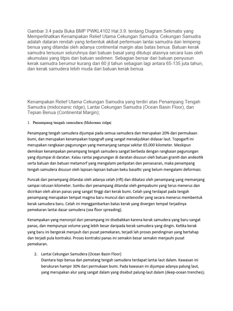 Kenampakan Relief Cekungan Samudra | PDF