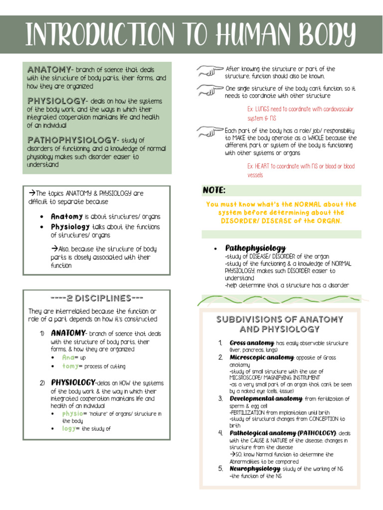 Introduction To Human Body | PDF | Human Body | Homeostasis