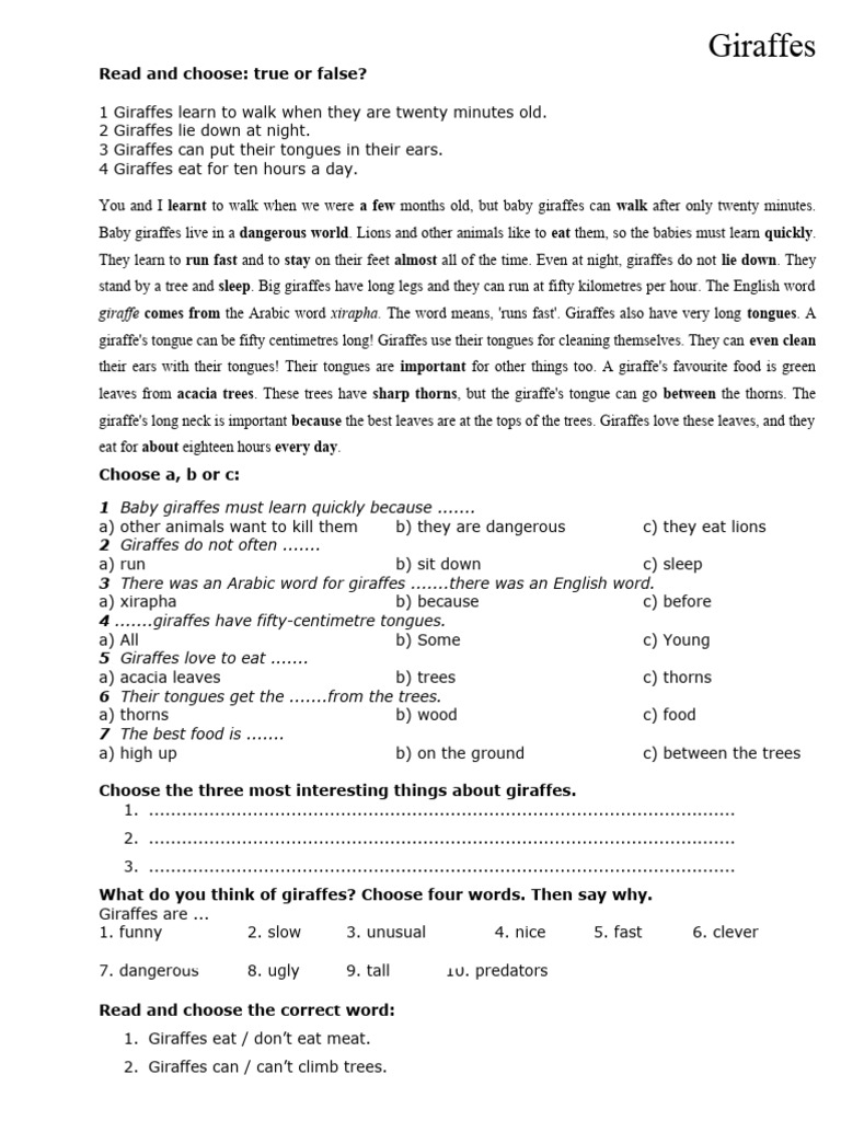 Giraffes | PDF | Giraffe