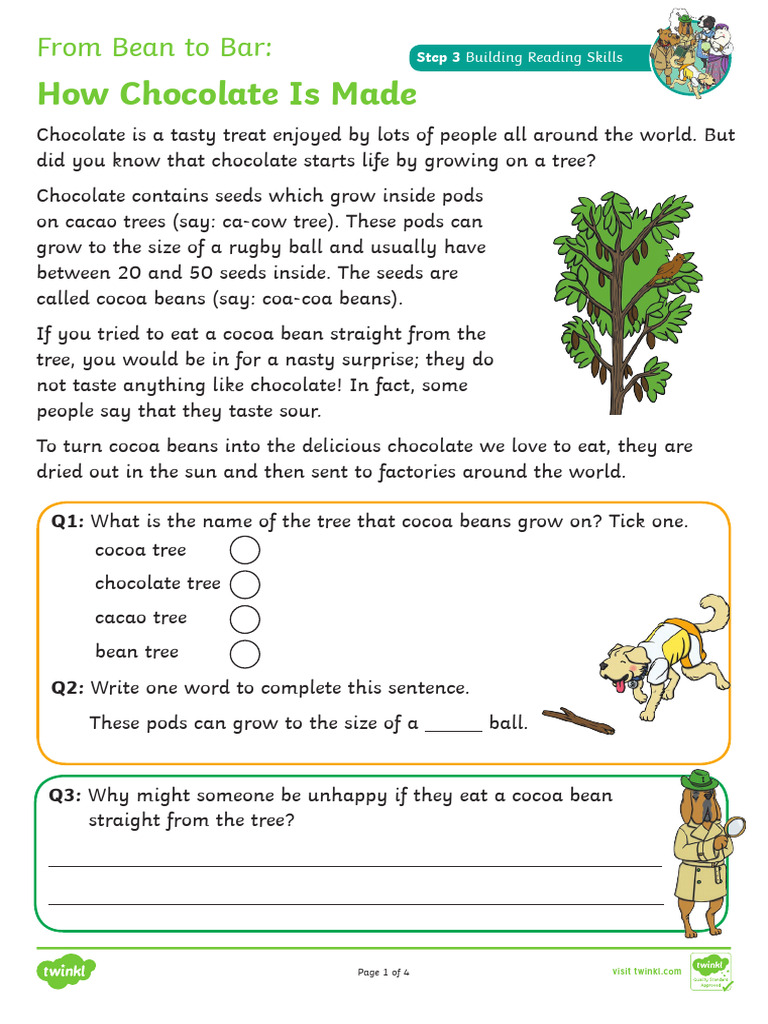 Chocolate Comprehension | PDF | Chocolate | Cocoa Bean