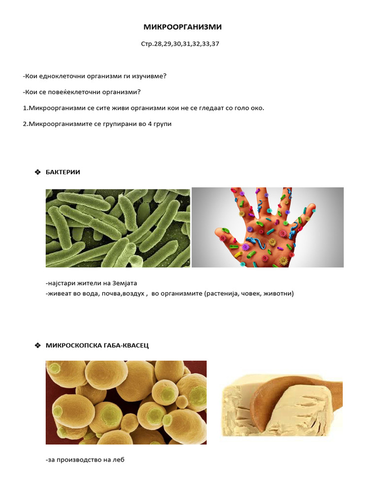 Cas 14 Mikroorganizmi | PDF