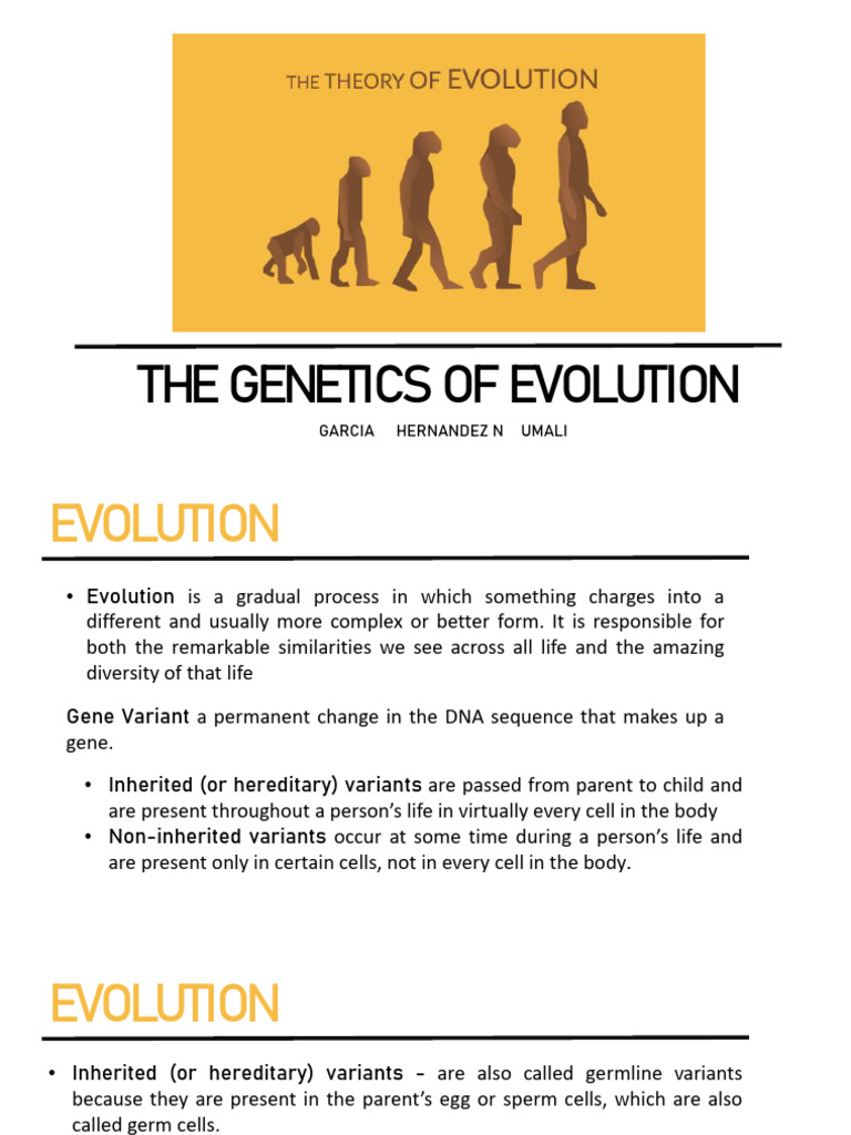 Genetics and Evolution Overview | PDF | Evolution | Mutation