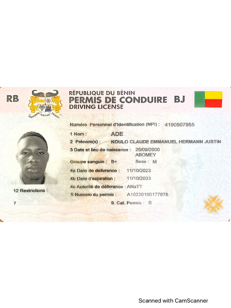 Driving Licence | PDF