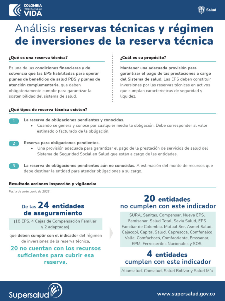 Infografia Analisis Reservas Tecnicas | PDF | Economias