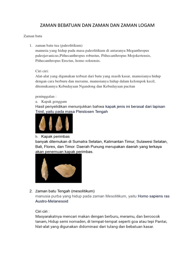 Evolusi Zaman Batu dan Logam | PDF | Ilmu Sosial