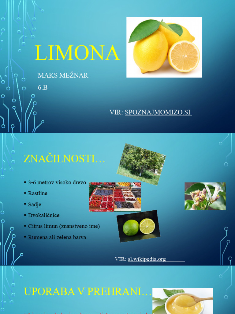 Lemon Presentation | PDF