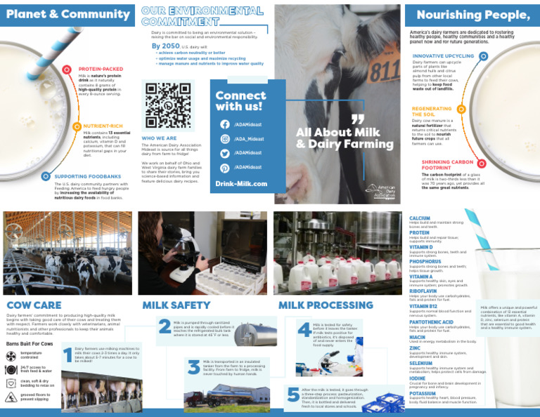All About Milk Dairy Farming Brochure | PDF | Dairy Farming | Milk