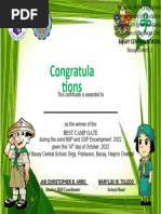 BSP Camp Participation Certificate | PDF