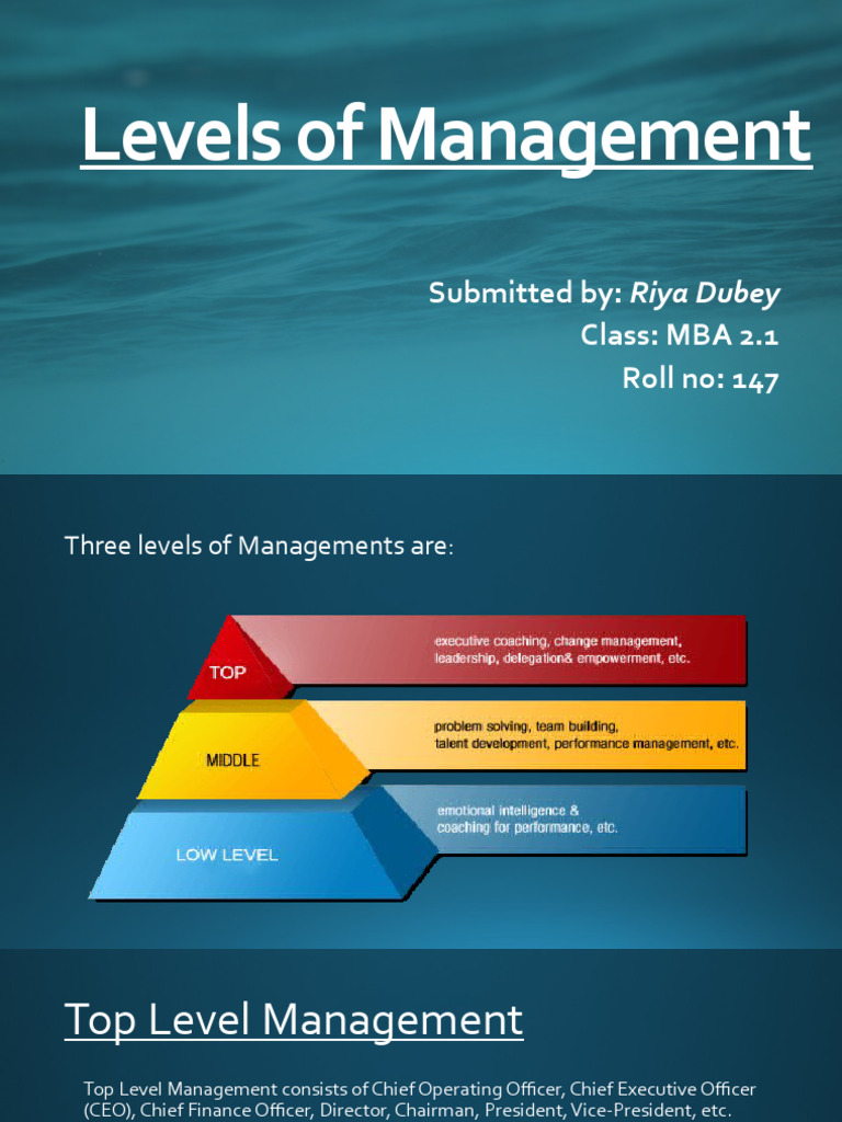 Levels of Management | PDF | Employment | Business