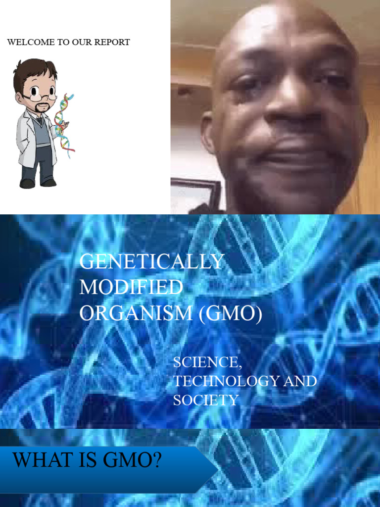 Gmo Report | PDF | Genetically Modified Organism | Genetic Engineering