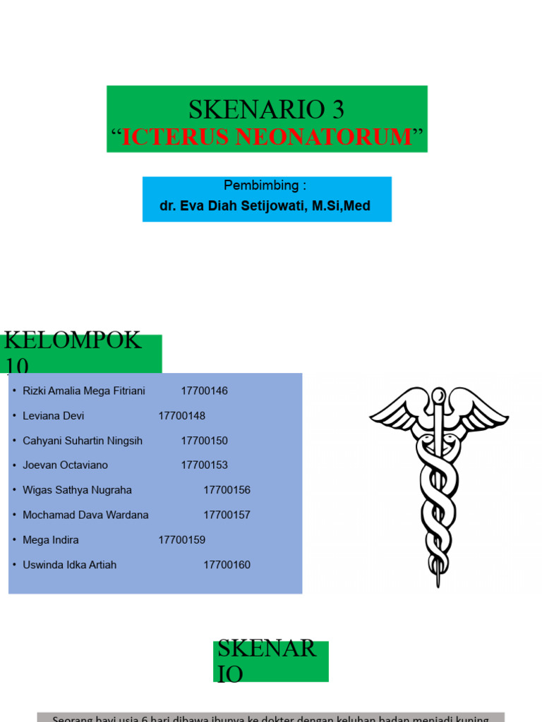SKENARIO 3 (Fix) | PDF