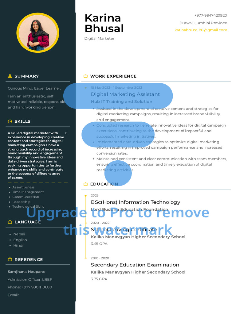 Digital Marketer with Proven Skills | PDF | Digital Marketing | Human Communication