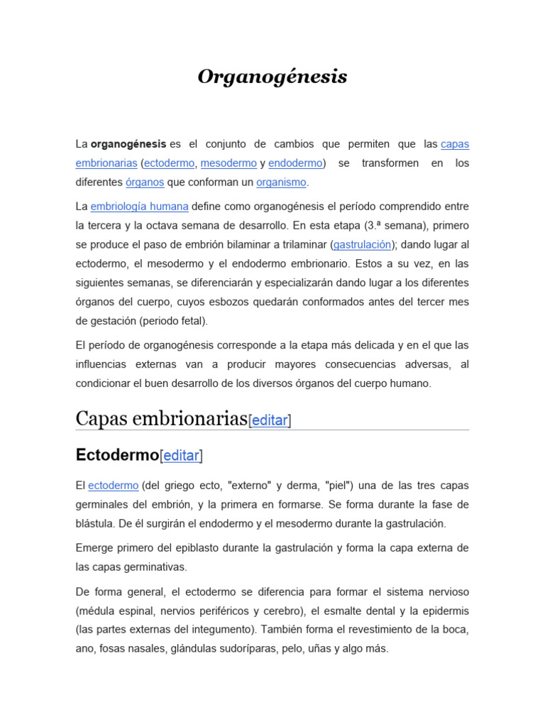 Organogenesis | PDF | Órgano (anatomía) | Anatomía