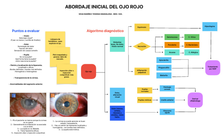 Abordaje Inicial Del Ojo Rojo | PDF | Ojo humano | Ciencias de la Salud